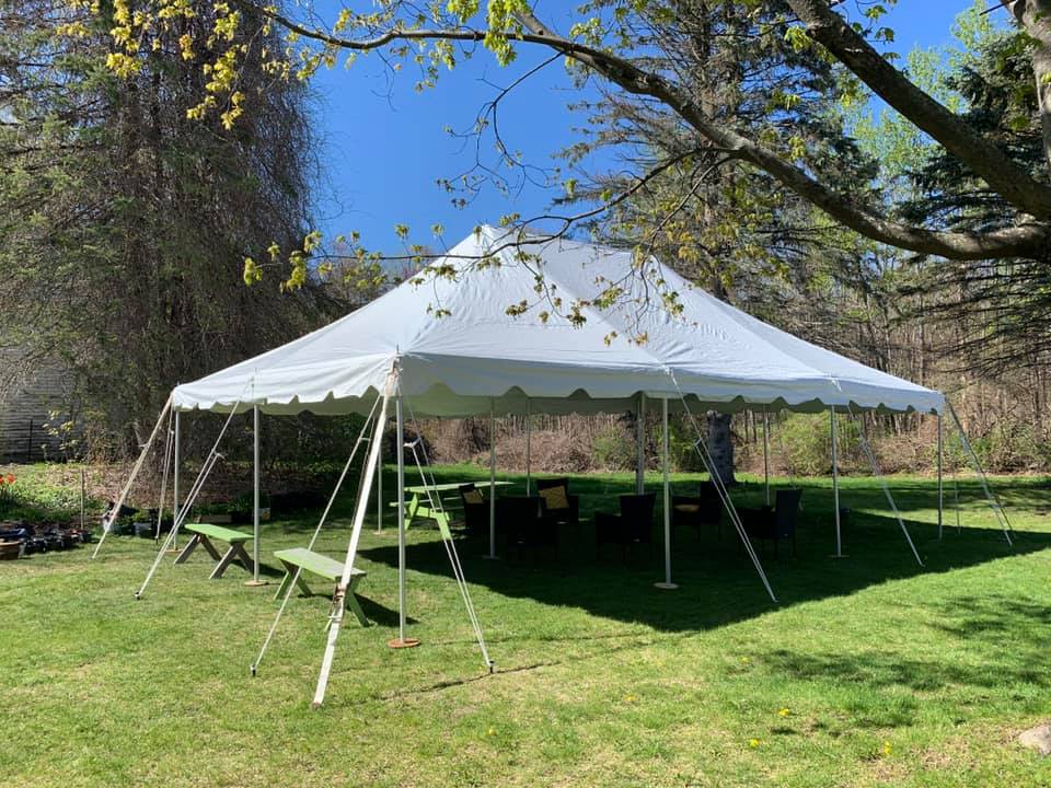 Tent @ the library! | Daland Memorial Library